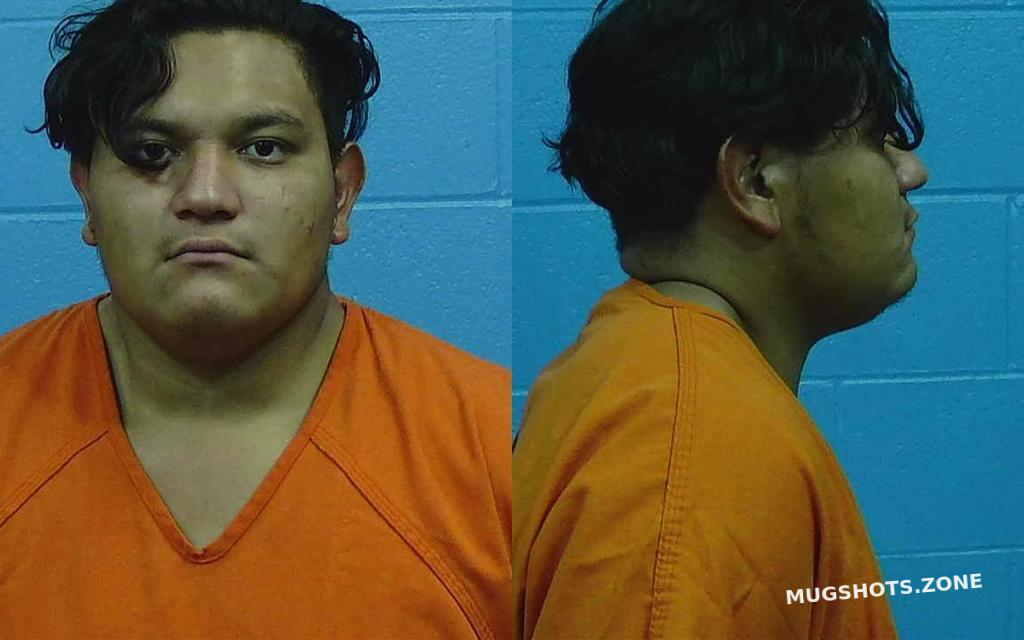 MARTINEZ CANALES DANIEL ISSAC 12/10/2022 - Williamson County Mugshots Zone