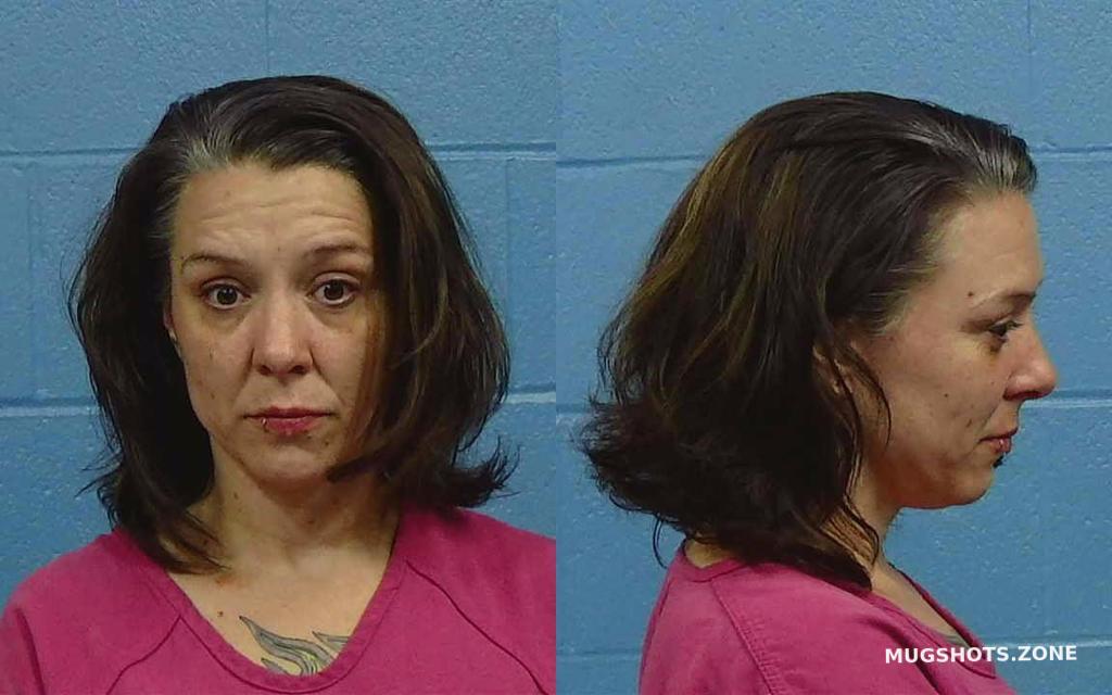 BOBER KIMBERLY ANN 12/10/2022 - Williamson County Mugshots Zone