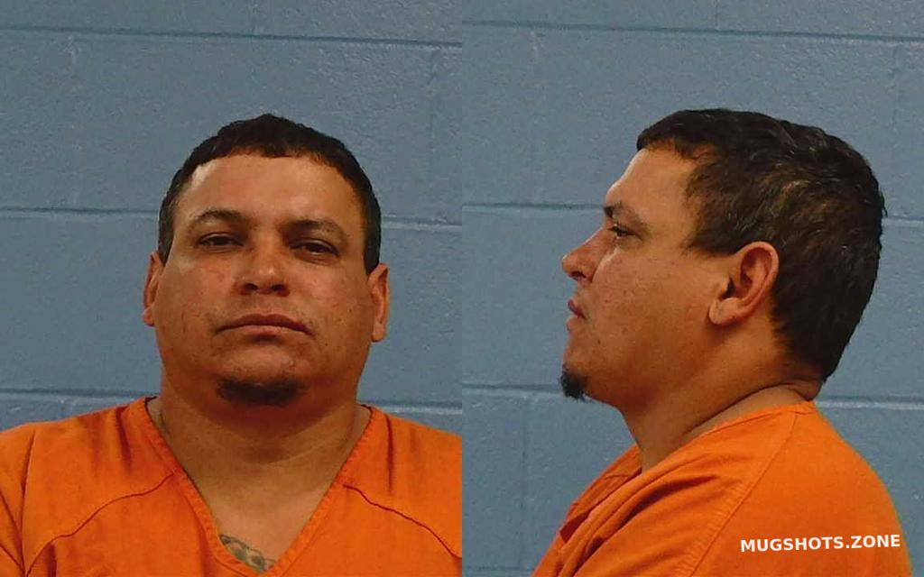 CAMACHO GORDIS ERIT ALAIN 12/11/2022 - Williamson County Mugshots Zone