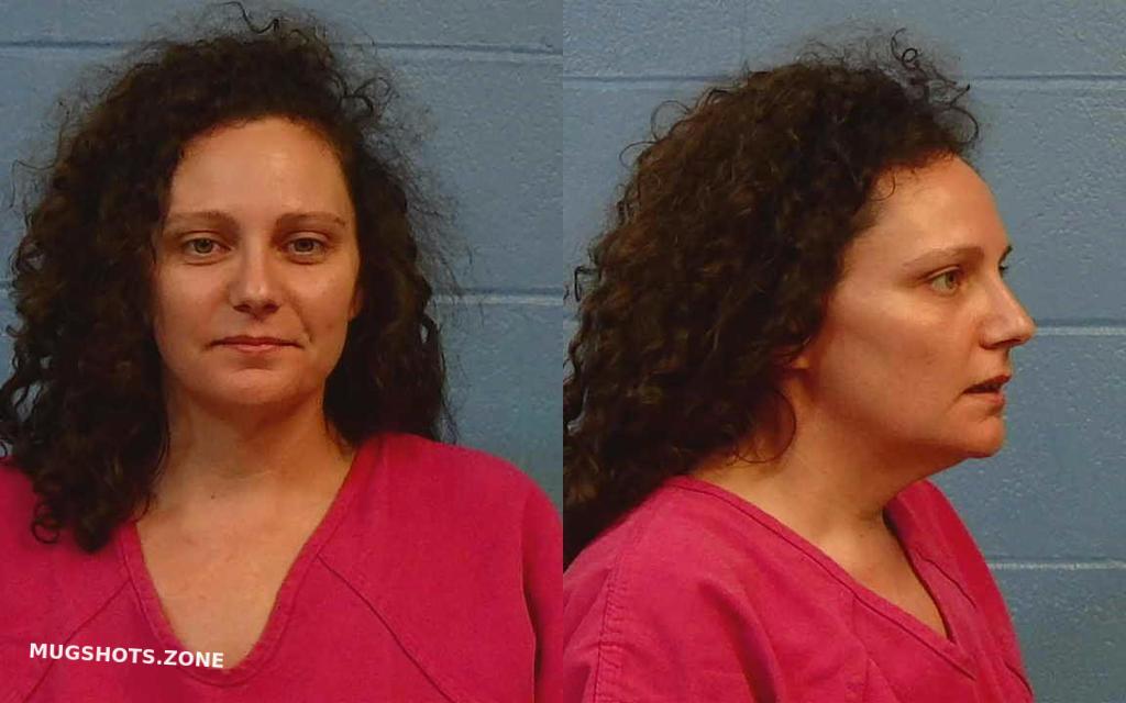 SMITH HEATHER 12/12/2022 - Williamson County Mugshots Zone