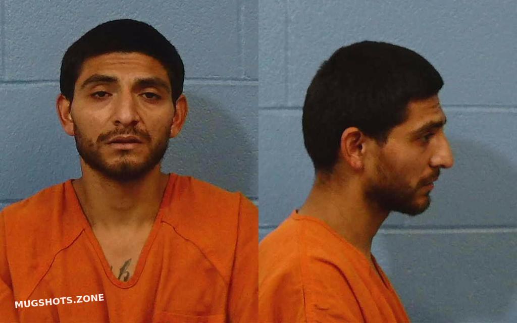 MATA FERMIN 12/13/2022 - Williamson County Mugshots Zone