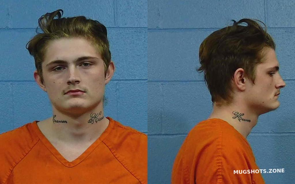 ADAMS NICHOLAS TYLER 12/15/2022 - Williamson County Mugshots Zone