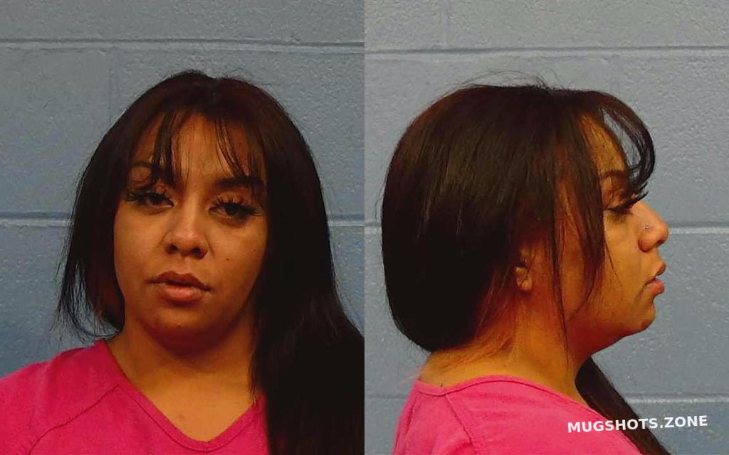 WILBORN KWINNEY DANIELLE 12/18/2022 - Williamson County Mugshots Zone