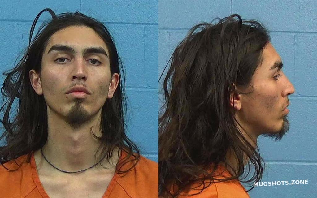 APODACA NICHOLAS RAY 12/22/2022 - Williamson County Mugshots Zone