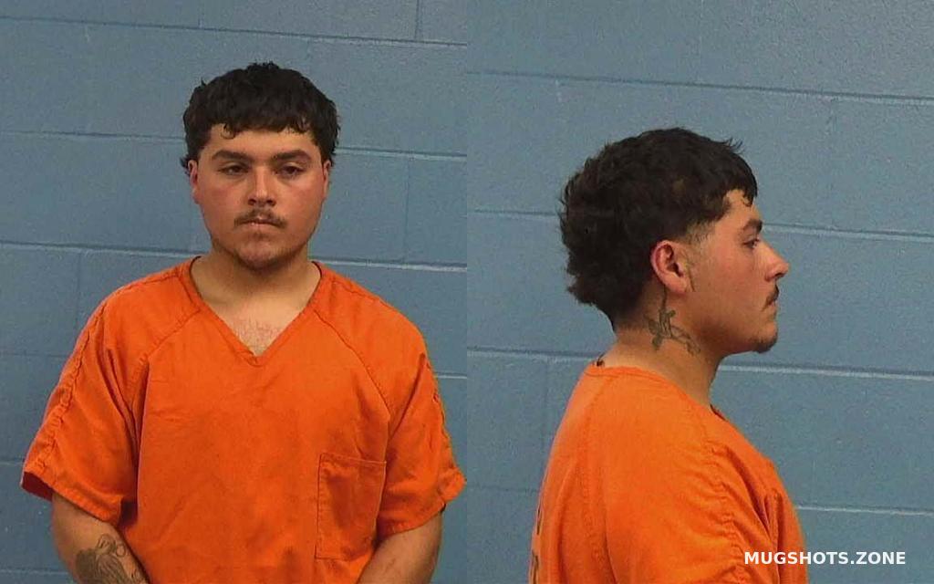 SALAZAR BLAKE ALEXANDER 12/28/2022 - Williamson County Mugshots Zone
