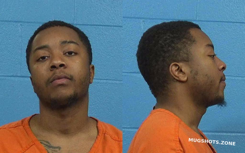 OLIPHANT DAVION TERRELL 01/04/2023 - Williamson County Mugshots Zone