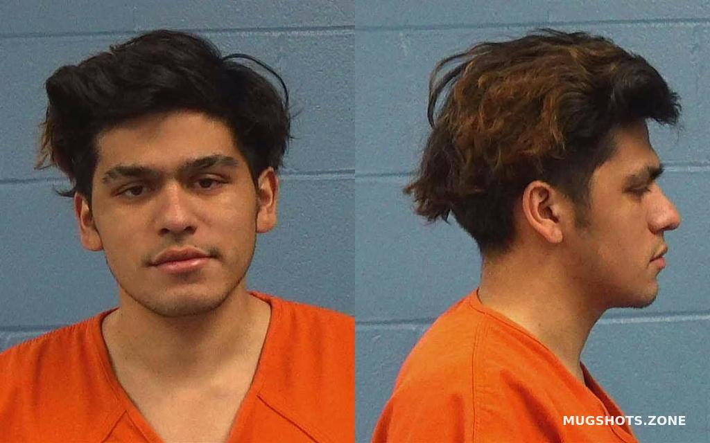 TORRES JOSE ALFREDO 01/05/2023 - Williamson County Mugshots Zone