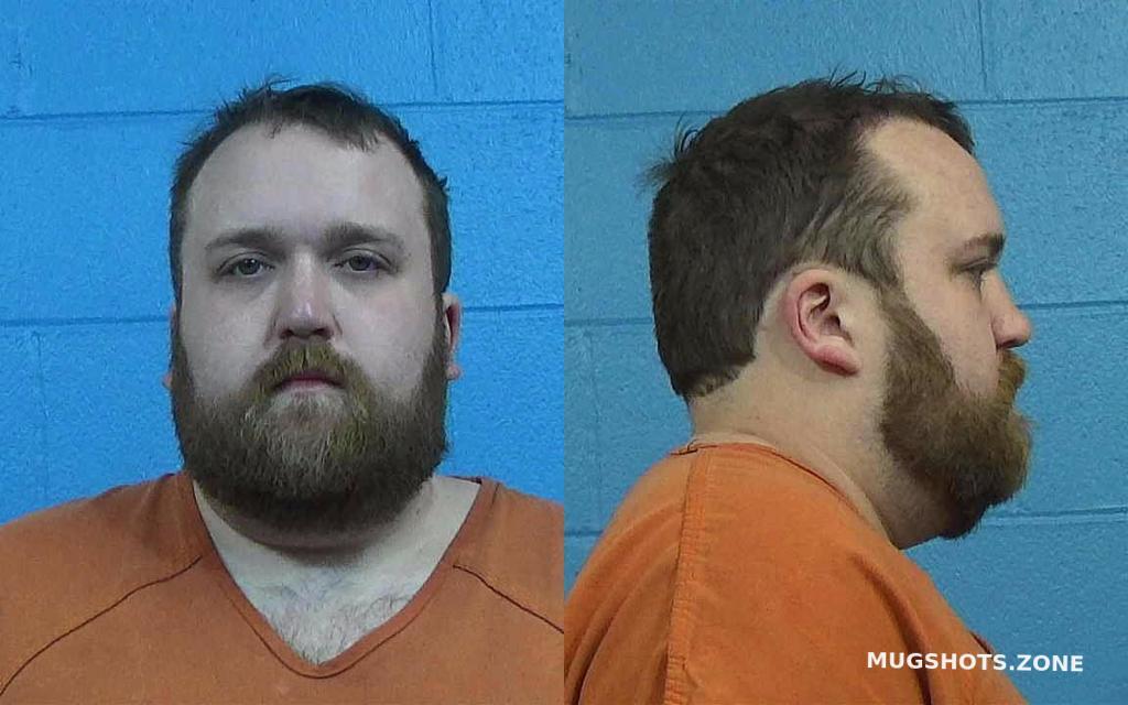 PRICE ALLAN MARTIN 01/13/2023 - Williamson County Mugshots Zone