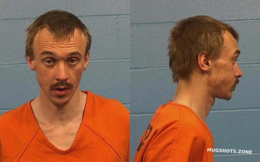 TAYLOR BRENT ALAN 01/15/2023 - Williamson County Mugshots Zone