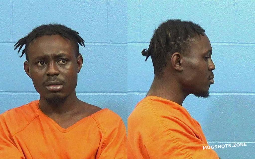 KAMARA VICTOR SIAFA 01/17/2023 - Williamson County Mugshots Zone