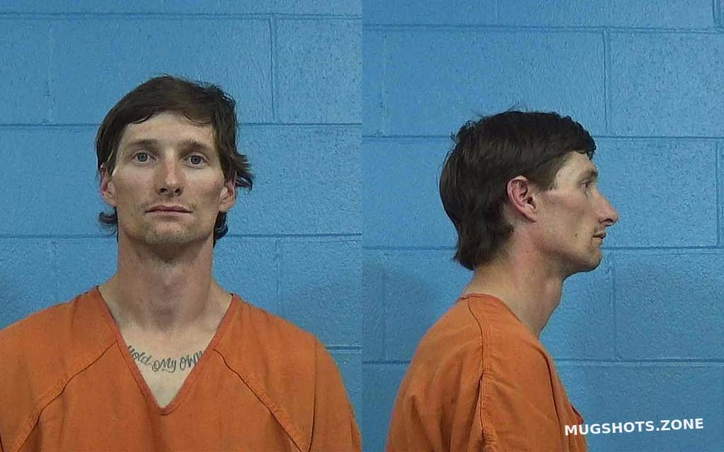 DAUGHERTY CHANCE DAX ALLAN 01/18/2023 - Williamson County Mugshots Zone