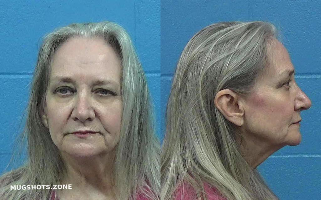 CHESTNUT MICHELLE 01/20/2023 - Williamson County Mugshots Zone