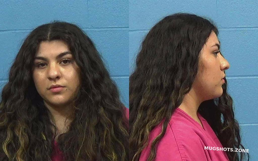 LOZANO LILIAN MABEL 01/26/2023 - Williamson County Mugshots Zone