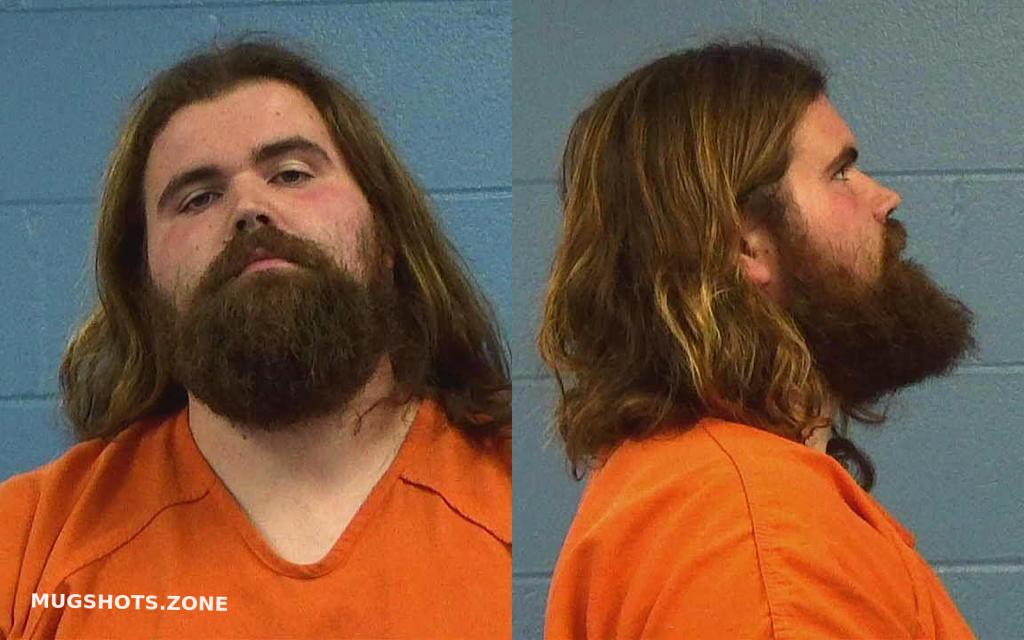 BONNET TRENTIN GALYN 02/03/2023 - Williamson County Mugshots Zone
