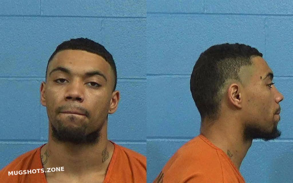 HARVEY ZACK MICHAEL 02/10/2023 - Williamson County Mugshots Zone