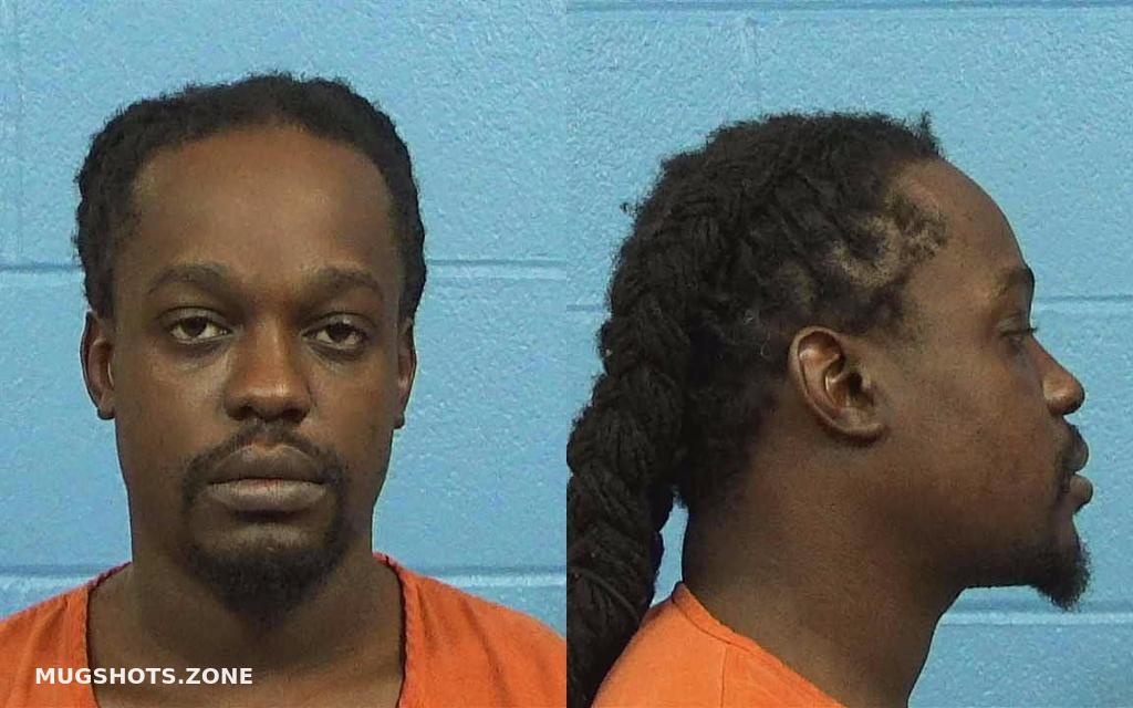 MIKHAIL DAVID NICOLAI 02/11/2023 - Williamson County Mugshots Zone