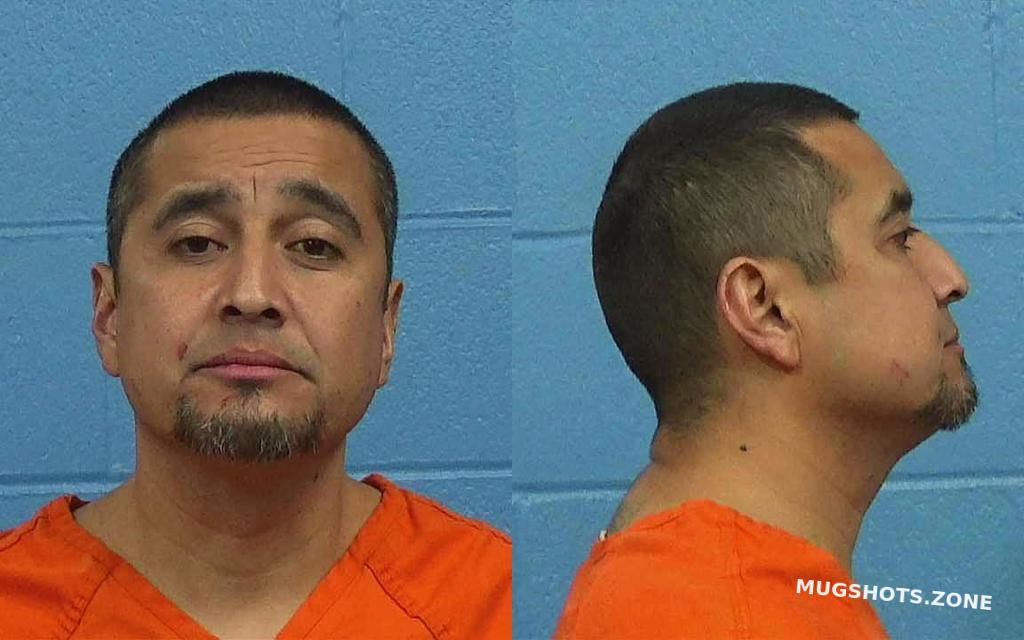 VALLADAREZ LUIS RAMON 02/11/2023 - Williamson County Mugshots Zone