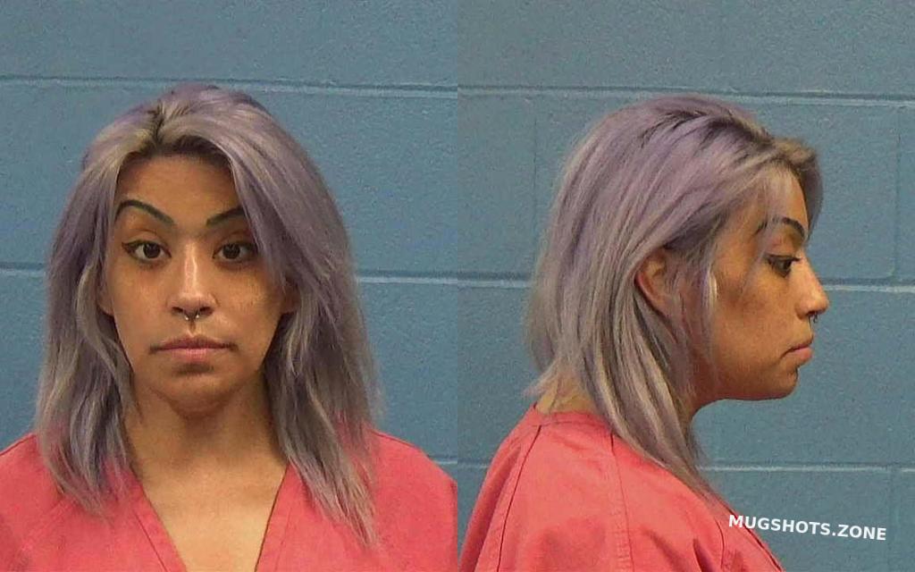 HINOJOSA MARA ELAINE 02/18/2023 - Williamson County Mugshots Zone