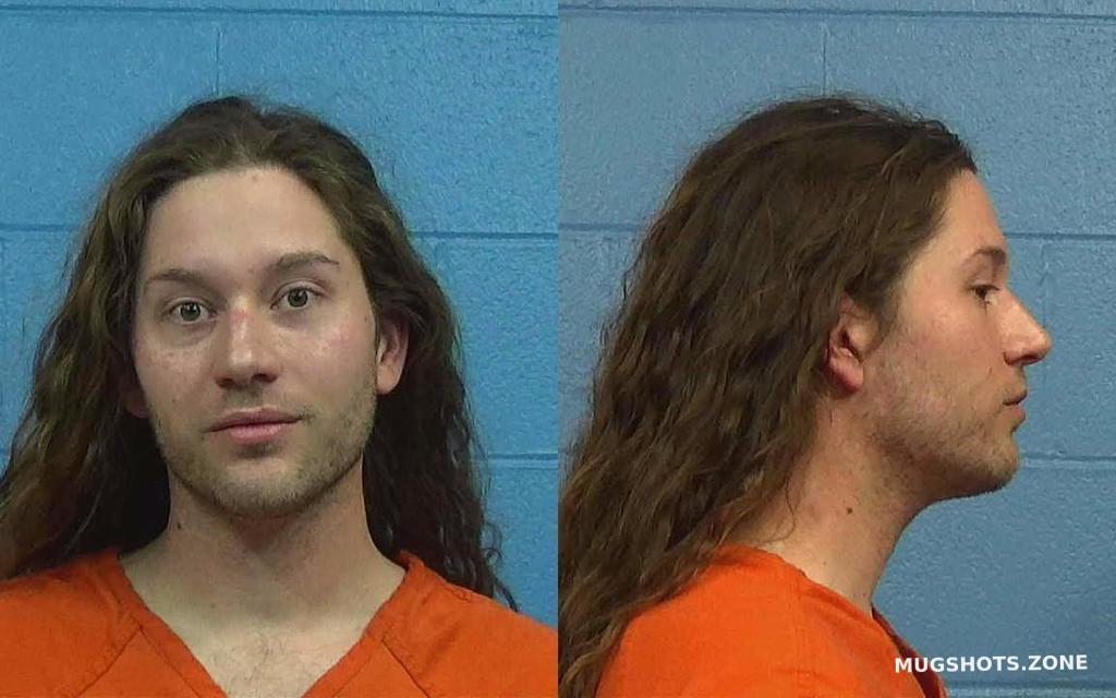 CARTER CARSON LEE 02/19/2023 - Williamson County Mugshots Zone
