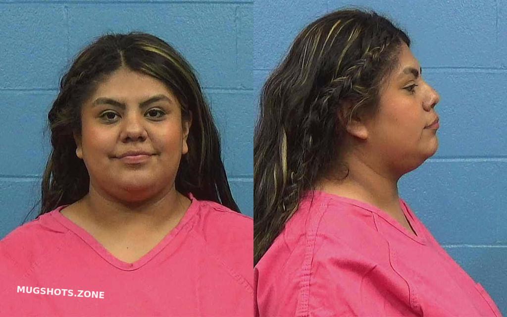 BAHENA MAYRA REAL 02/21/2023 - Williamson County Mugshots Zone