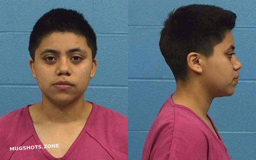Gomez Genesis Kiabeth 02232023 Williamson County Mugshots Zone