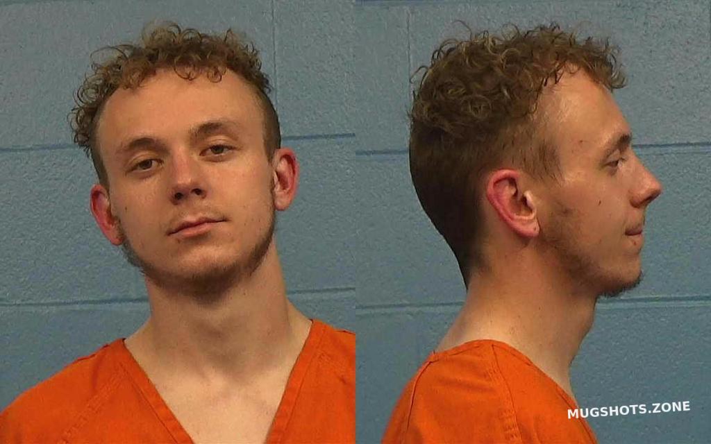 LINNEY RYAN JOSEPH 02/25/2023 - Williamson County Mugshots Zone