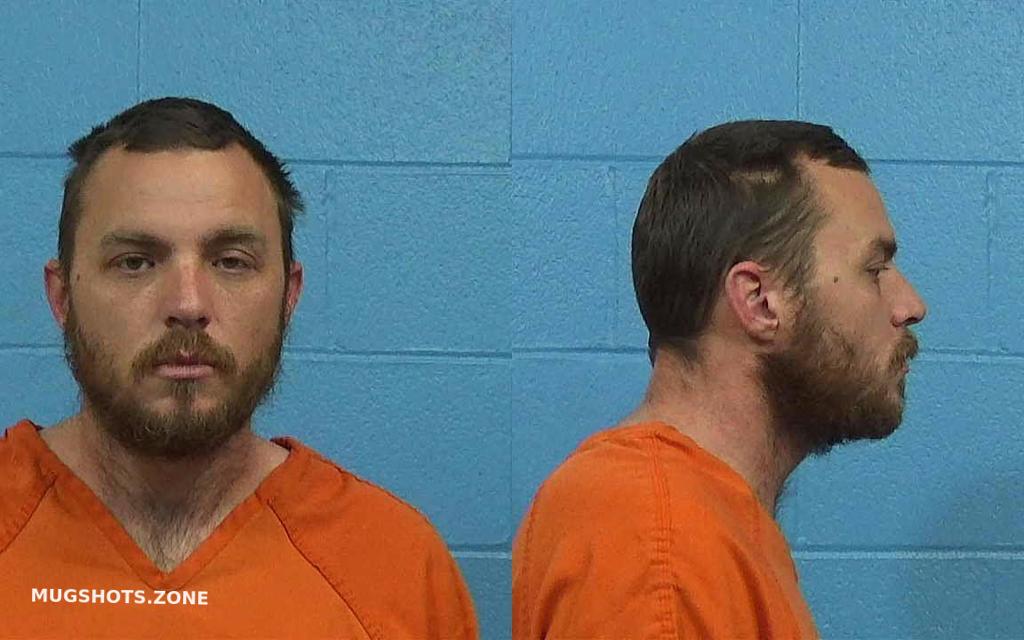 PENNY RYAN DAVID 02/25/2023 - Williamson County Mugshots Zone