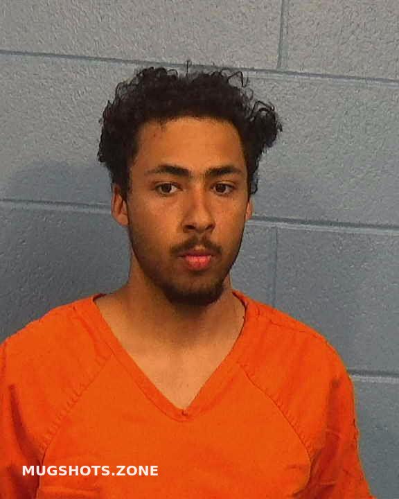 ROBERTS DOMINIC ISAIAH 02/26/2023 - Williamson County Mugshots Zone