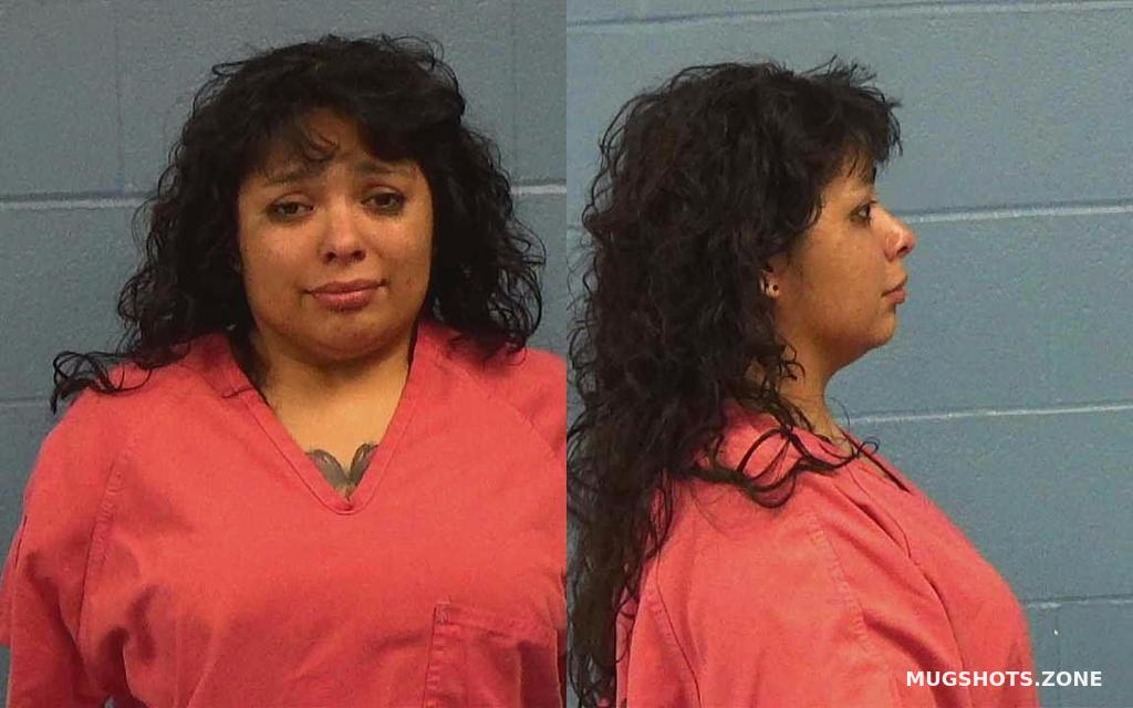 TORRES MARTINEZ BRENDA 03/03/2023 - Williamson County Mugshots Zone