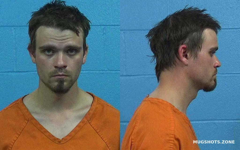 REVELL WESLEY SKY 03/05/2023 - Williamson County Mugshots Zone