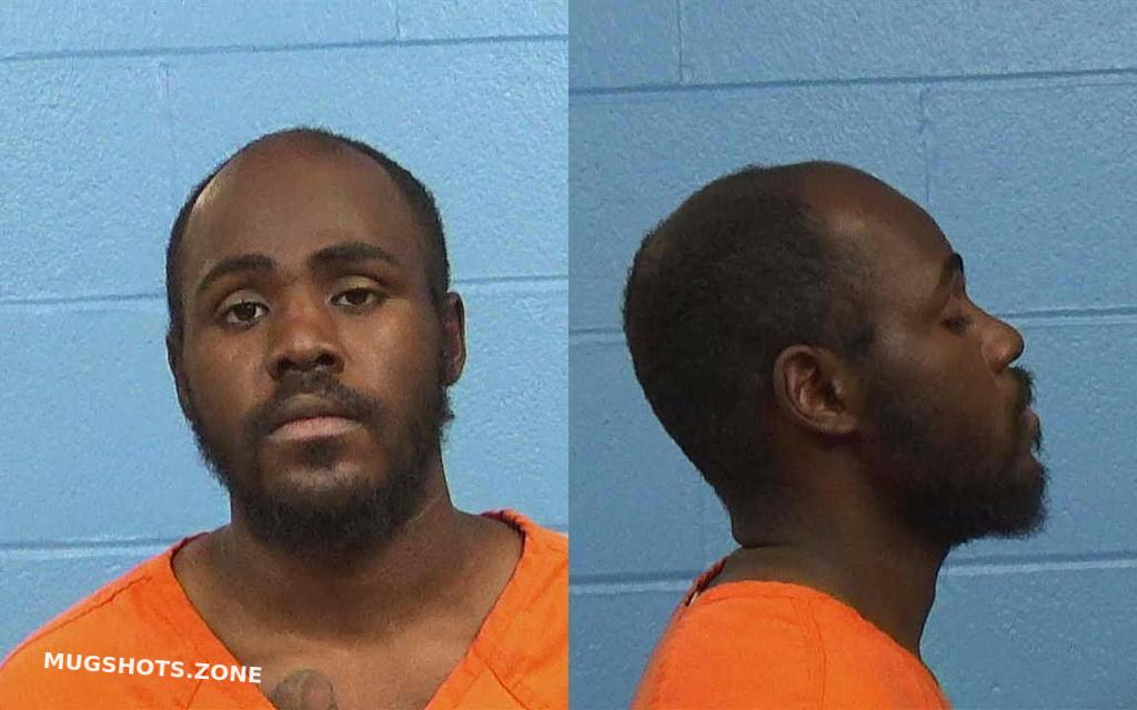 JOHNSON CHRISTIAN JAMIL 03/10/2023 - Williamson County Mugshots Zone