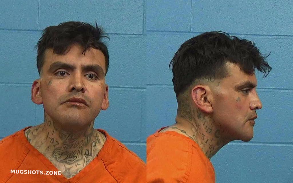 CASTILLO EDGAR 03/11/2023 - Williamson County Mugshots Zone