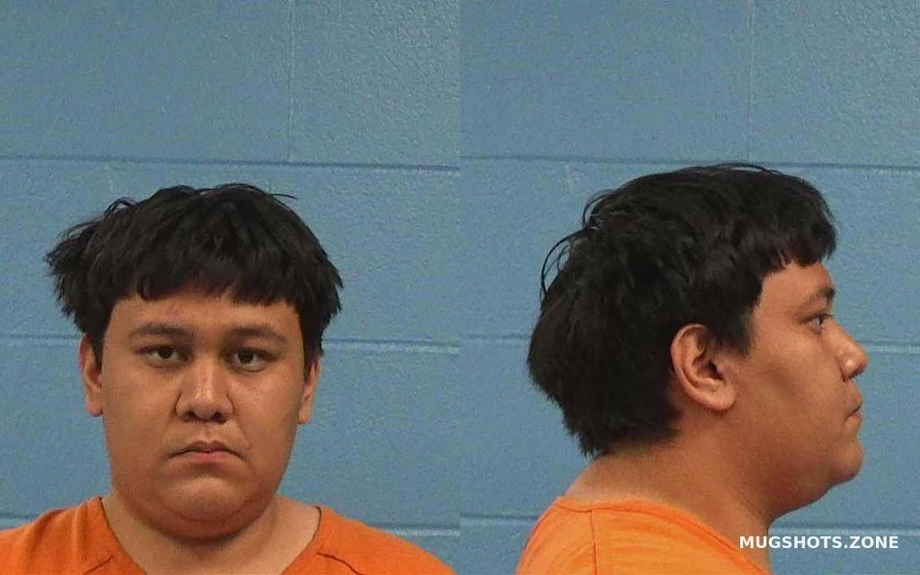 MONCADA CHRISTIAN FERNANDO LUIS 03/17/2023 - Williamson County Mugshots ...