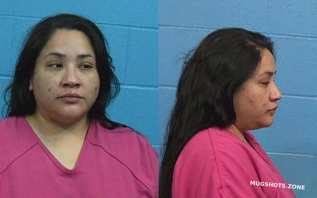 SARABIA AMY GUADALUPE 03/22/2023 - Williamson County Mugshots Zone