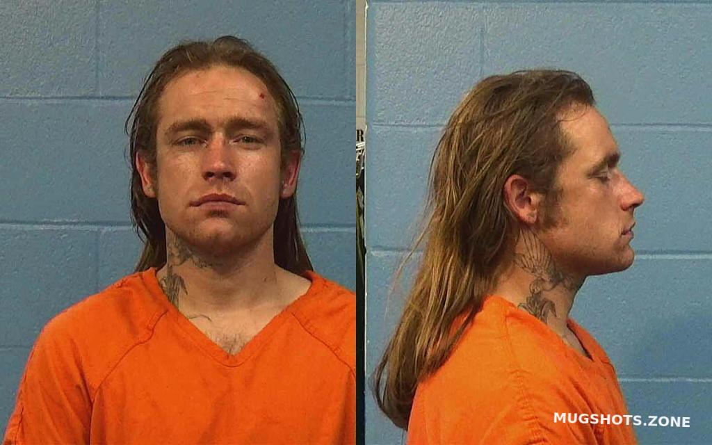 JUDGE NICHOLAS PAUL HENRY 03/23/2023 - Williamson County Mugshots Zone