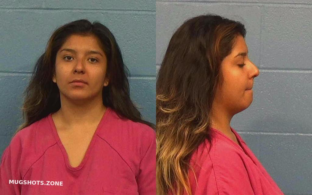 DEGOLLADO RAMIREZ KRISTAL 03/26/2023 - Williamson County Mugshots Zone