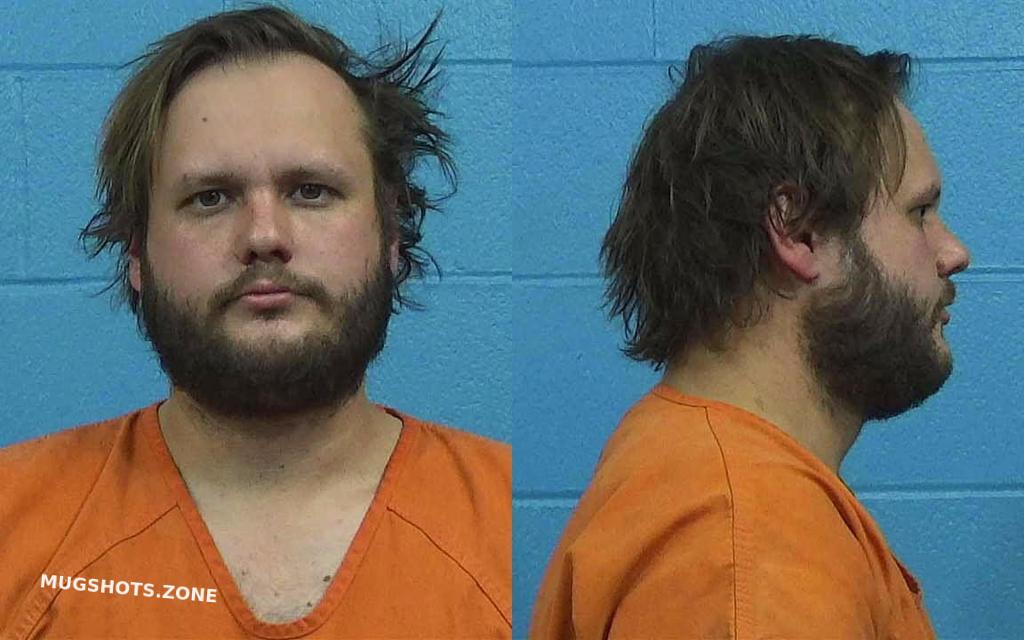 PAVLOVSKI ALEXANDER IGOREV 03/28/2023 - Williamson County Mugshots Zone