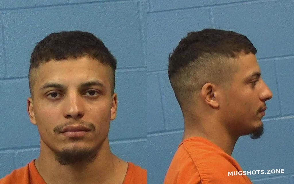 RIVAS MILSON 03/30/2023 - Williamson County Mugshots Zone