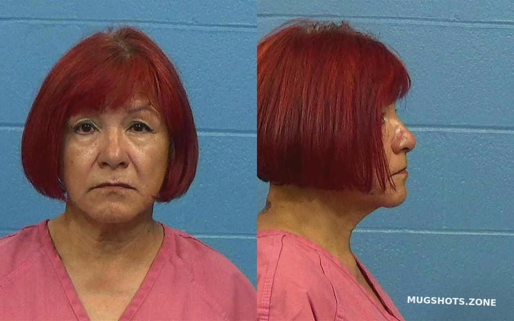 GONZALEZ MARIA CHRISTINA 04/01/2023 - Williamson County Mugshots Zone