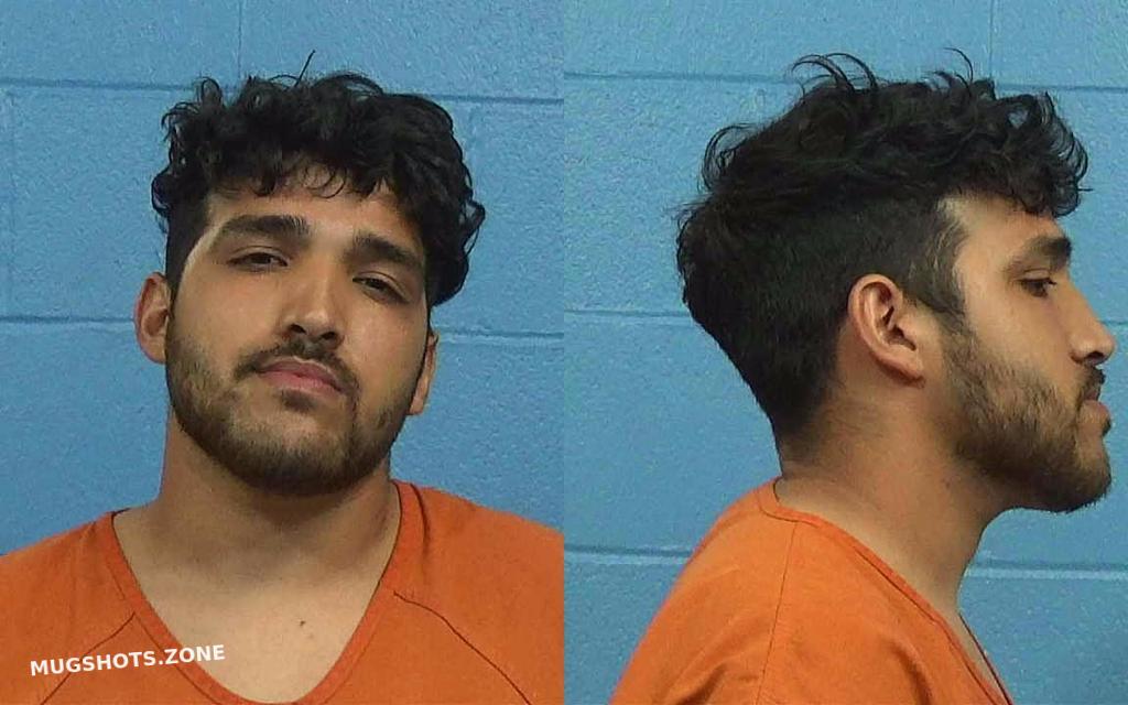 JOHNSON DEVIN ALEXANDER 04/05/2023 - Williamson County Mugshots Zone