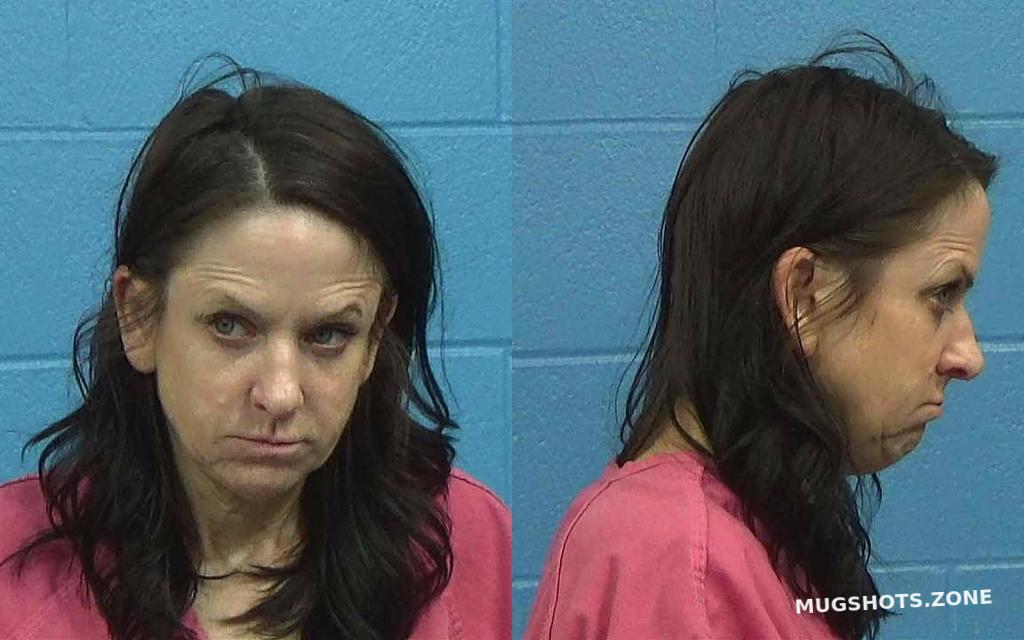 MOY PAMELA LYNN 04/14/2023 - Williamson County Mugshots Zone