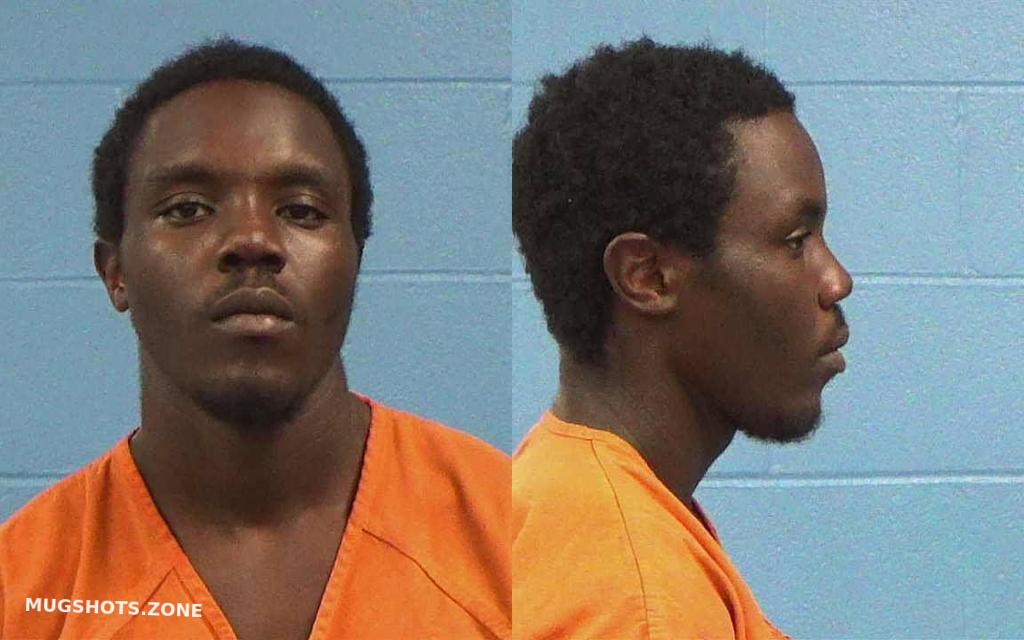 JAMES ELIAN MATTHEW 04/15/2023 - Williamson County Mugshots Zone