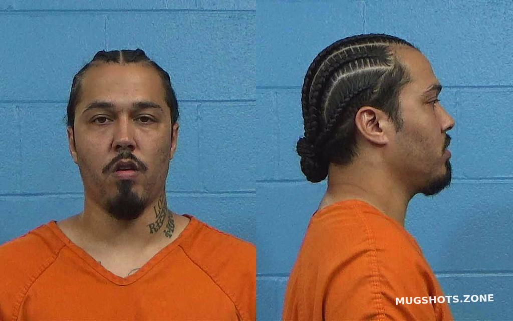 ATES REMSON DAYNE 04/15/2023 - Williamson County Mugshots Zone