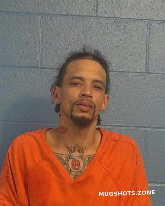 RIGGINS BRANDON THOMAS 04/17/2023 - Williamson County Mugshots Zone