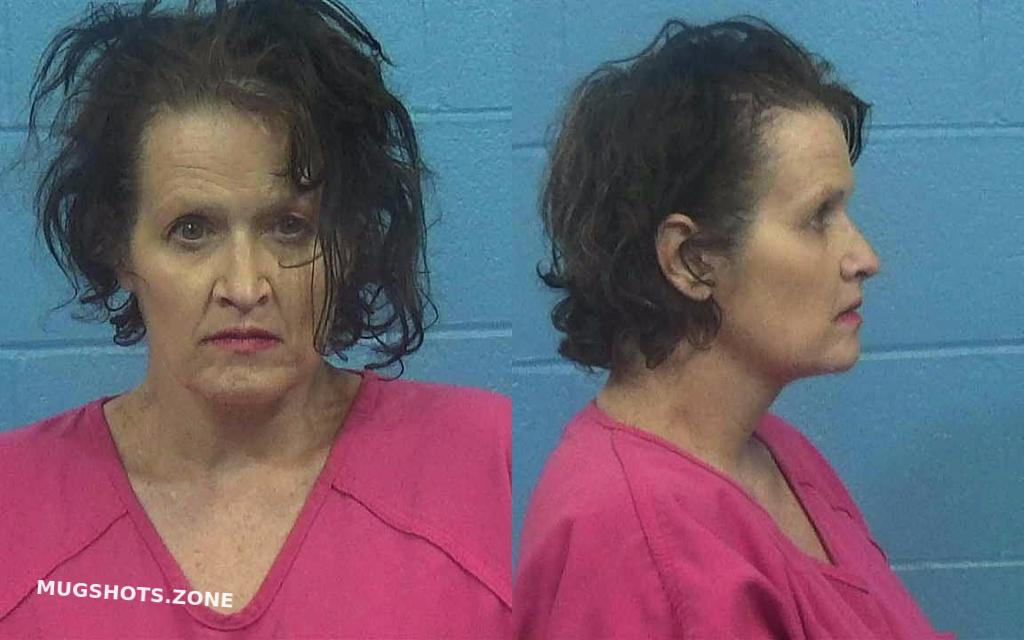 PACHECO ELISABETH ANNETTE 04/20/2023 - Williamson County Mugshots Zone