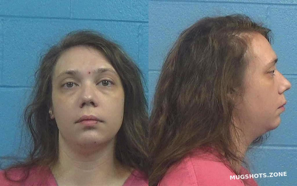 HENSON JENNIFER ALICE 04/22/2023 - Williamson County Mugshots Zone