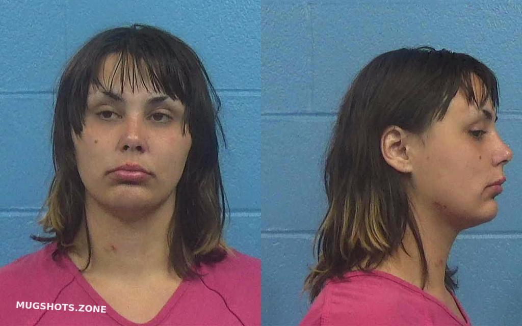 BIBAUD VANESSA MONIQUE 04/24/2023 - Williamson County Mugshots Zone