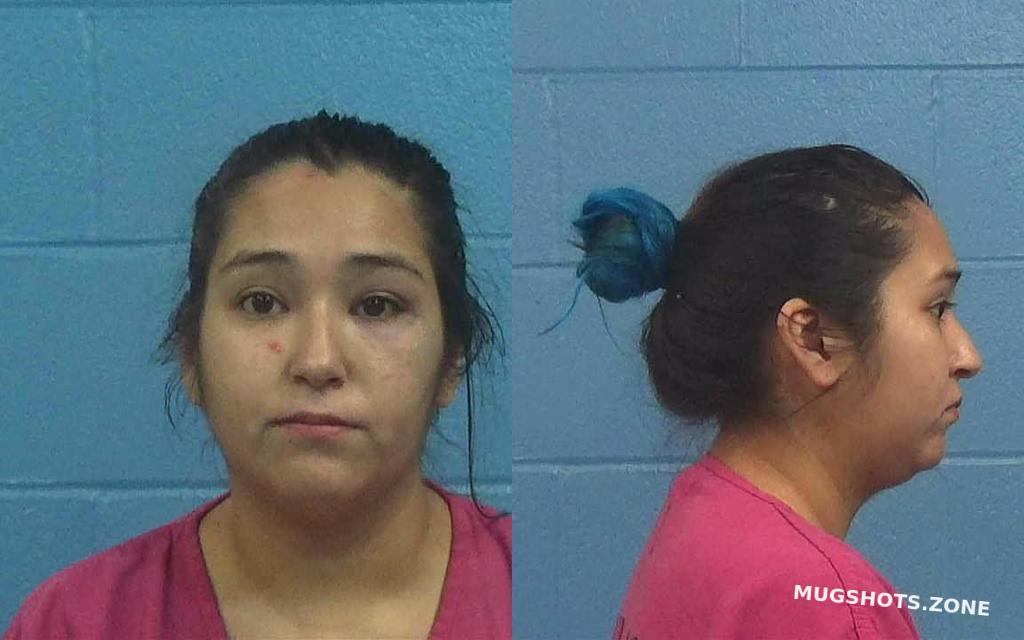 ZARATE ILIANA LEE 05/10/2023 - Williamson County Mugshots Zone