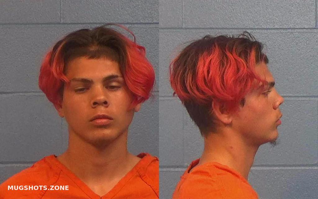 ROSAS JAYDEN DAVID 05/10/2023 - Williamson County Mugshots Zone