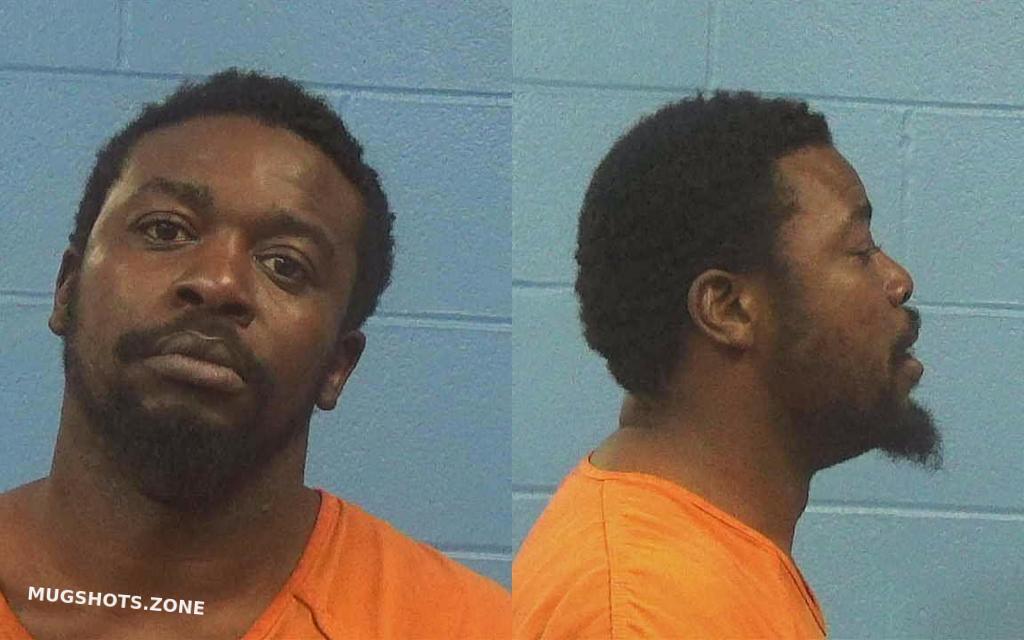 PHILLIP JAMAL ANDRE MICHAEL 05/21/2023 - Williamson County Mugshots Zone